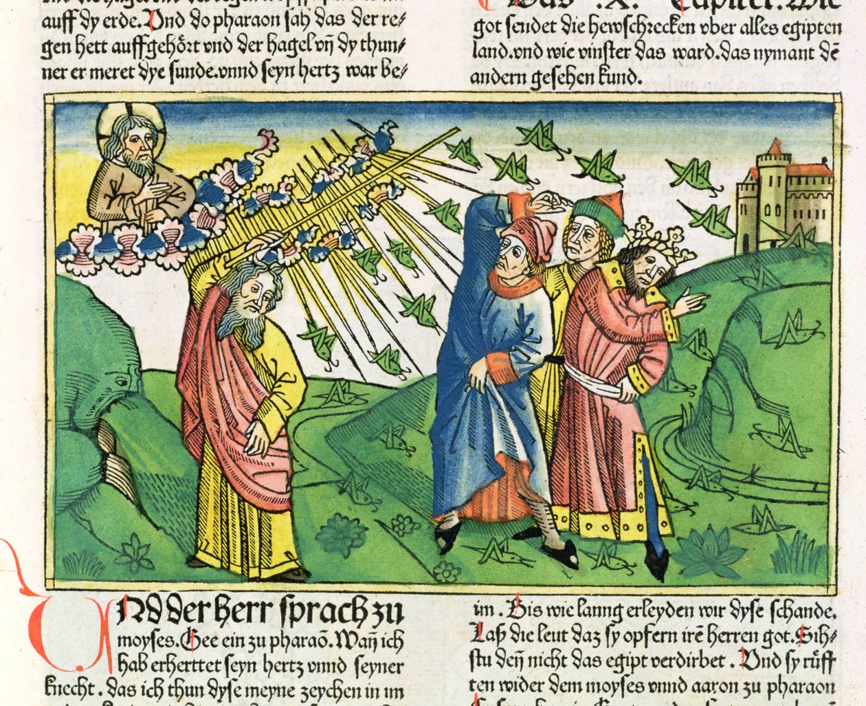 Exodus 10:1-20 The Seven Plagues of Egypt: the plague of locusts, from ...