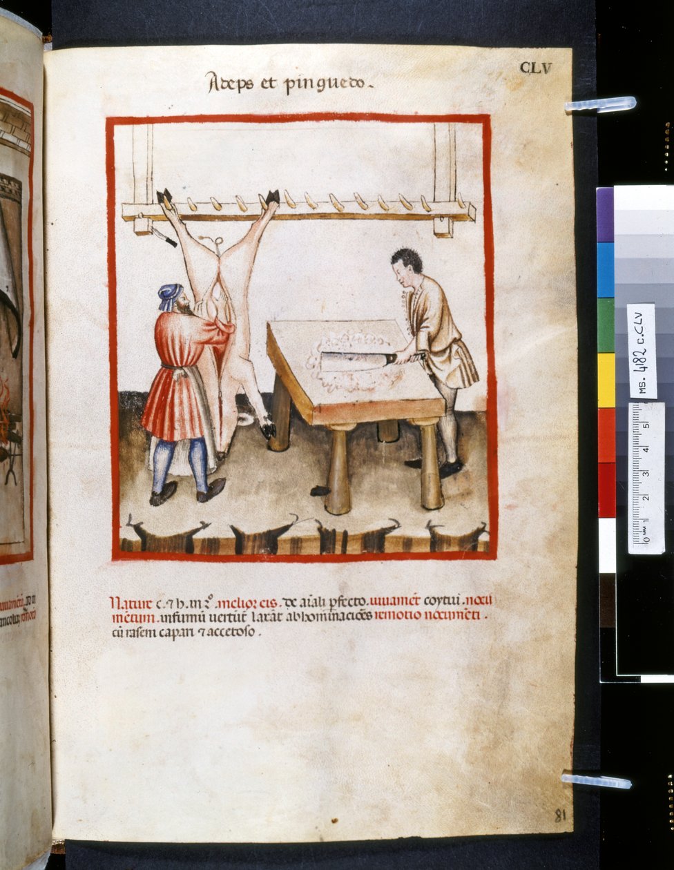 Theatrum Sanitatis by Ububchasym de Baldach: 'Adeps et Pinguedo', First ...