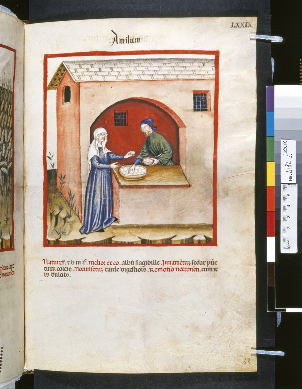 Theatrum Sanitatis by Ububchasym de Baldach: 'Amilum', First Decade of ...