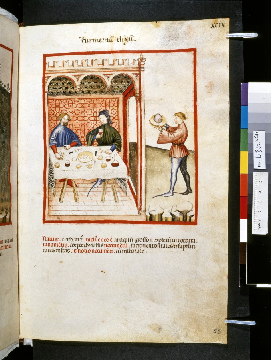 Theatrum sanitatis by Ububchasym de Baldach: 'Furmentum Elixum', first ...