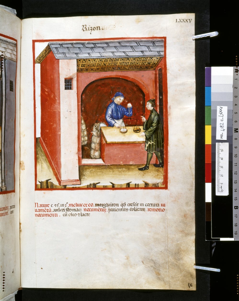 Theatrum sanitatis by Ububchasym de Baldach: 'Rizon', first decade of ...