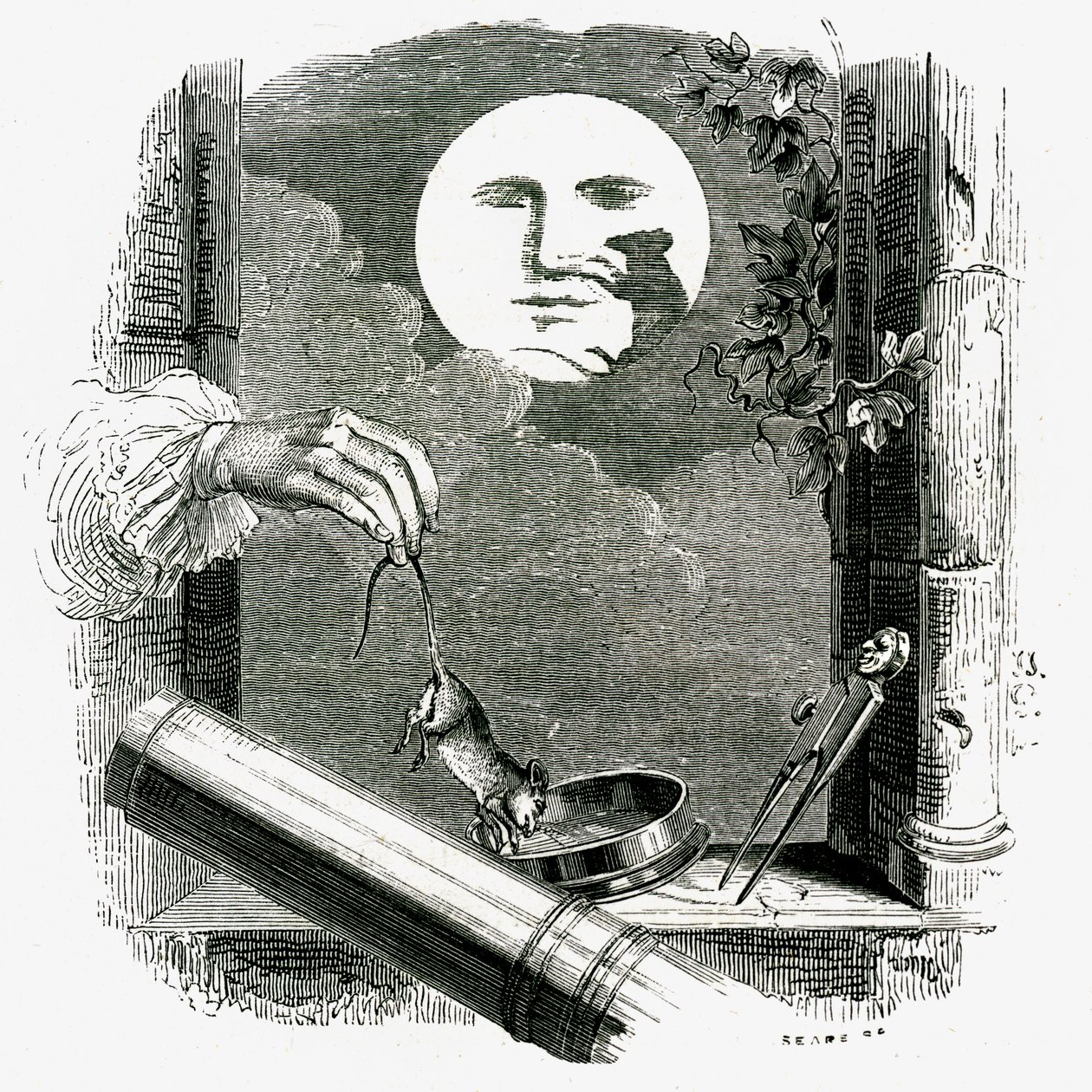 An Animal in the Moon: La Fontaine Fable Illustrated by Grandville