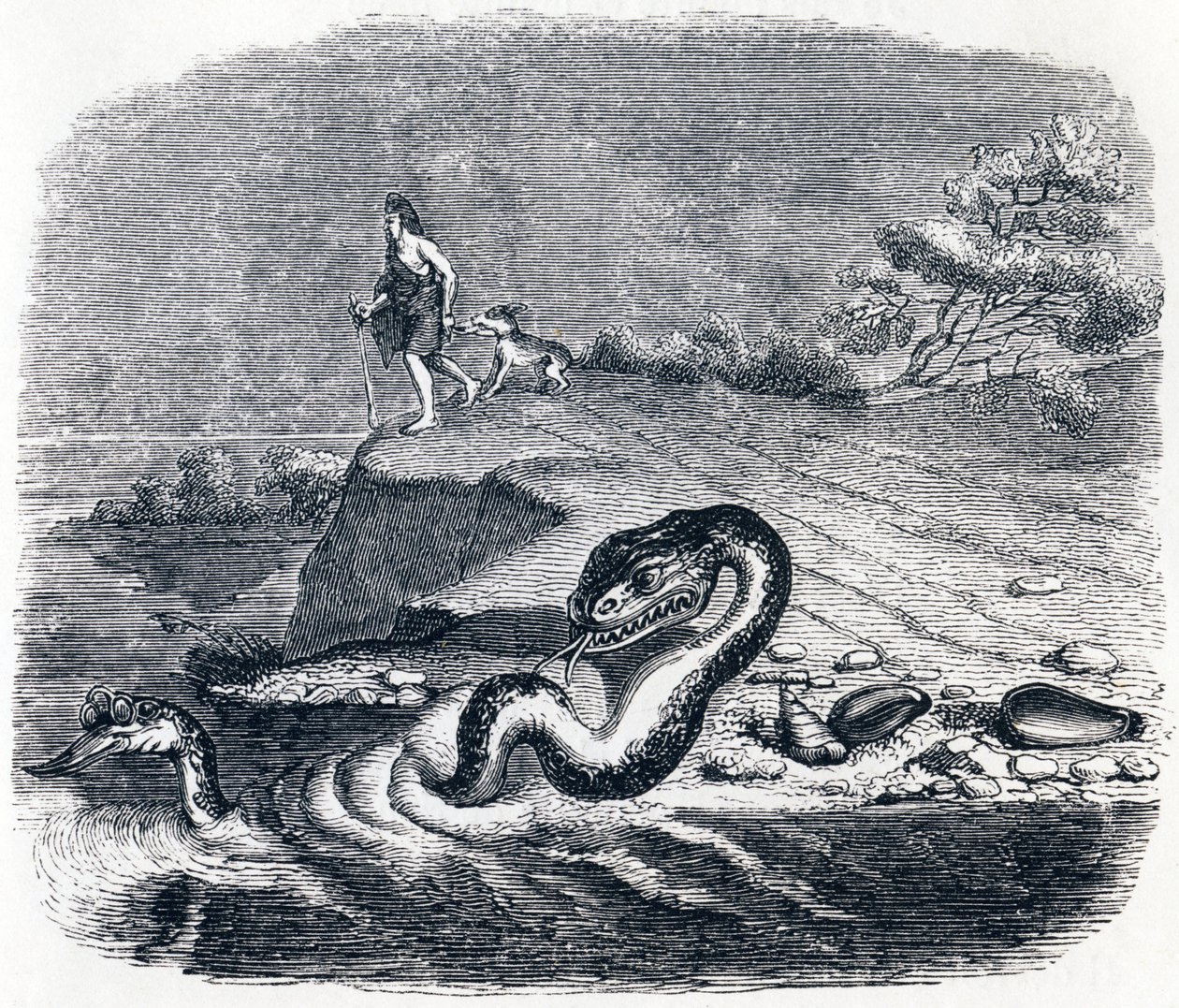The Head and Tail of the Snake - Fables by La Fontaine