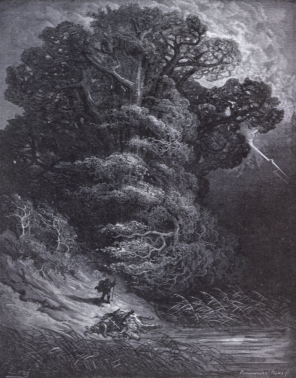 Illustration for The Oak and the Reed, from 'Fables' by Jean de La Fontaine