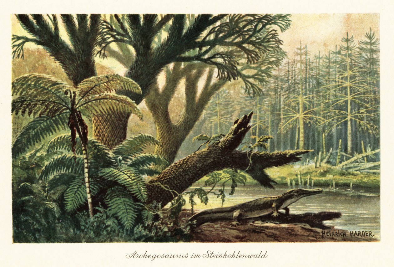 Archegosaurus Decheni by a River in a Primordial Jungle