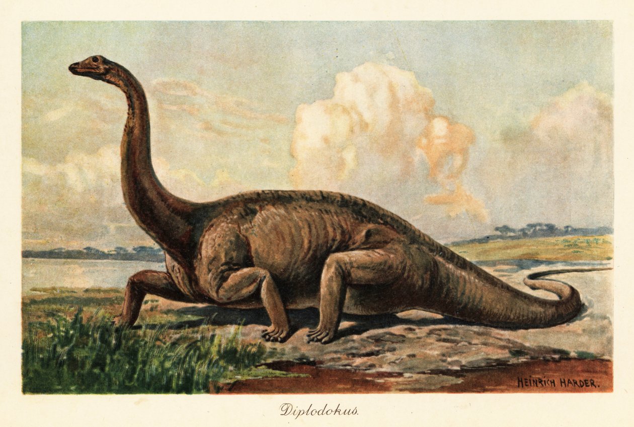 Extinct Diplodocus Longus on the Plains by Heinrich Harder