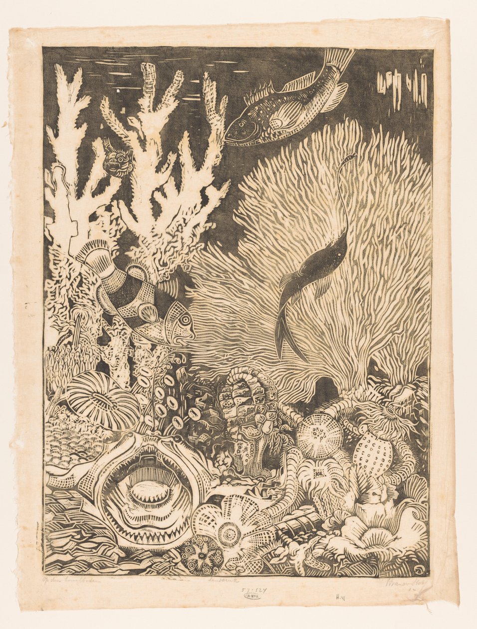 On the Coral Bottom by Henri van der Stok (signed by artist)