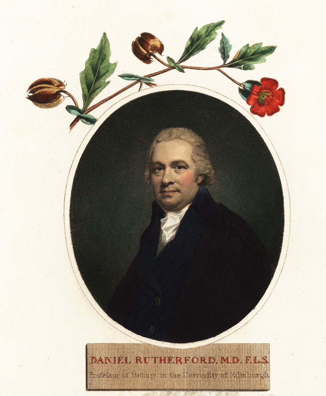 Portrait of Daniel Rutherford, Botanist (engraving)