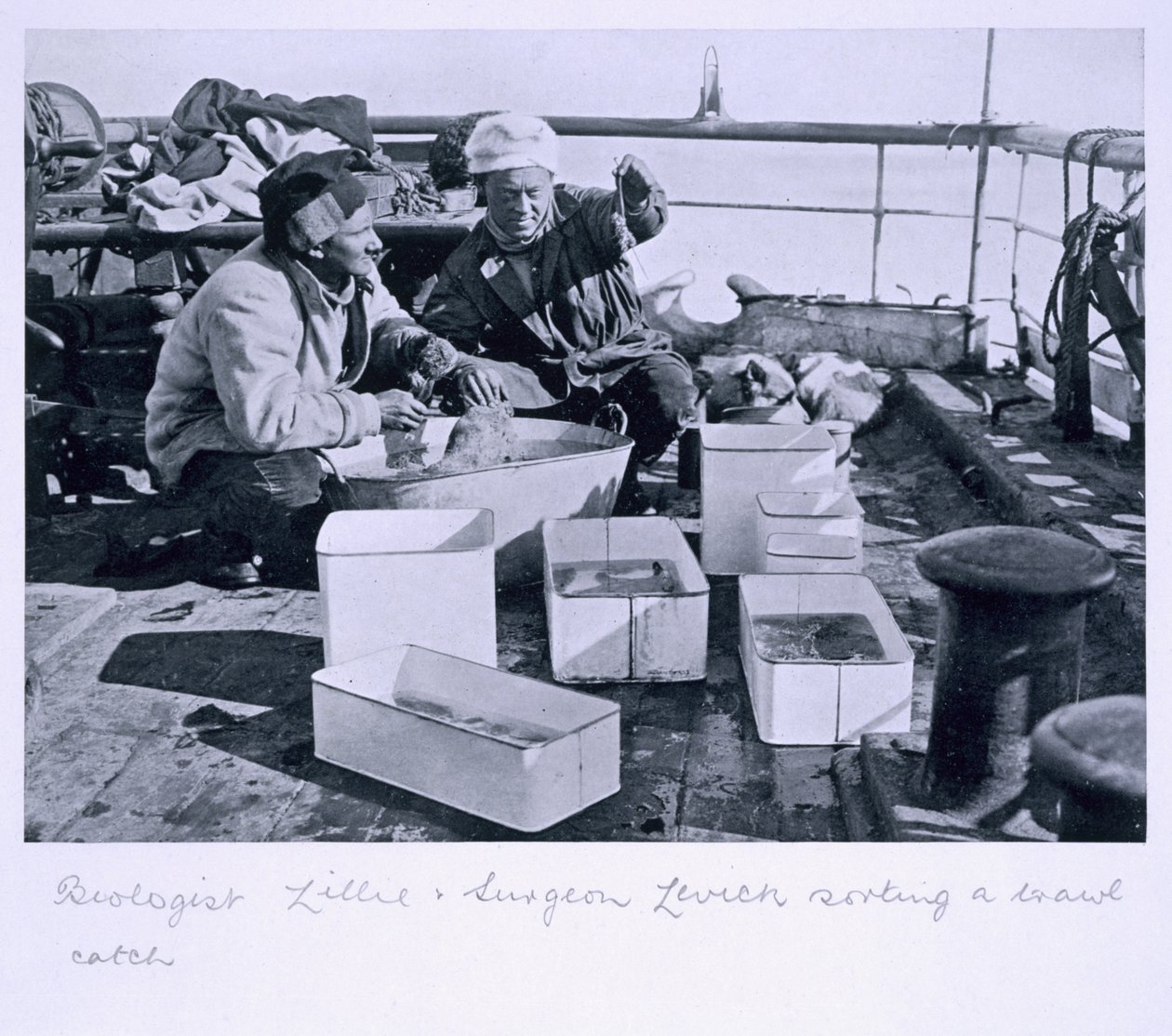 Biologist Lillie and Surgeon Levick Sorting a Trawl Catch on Board ...