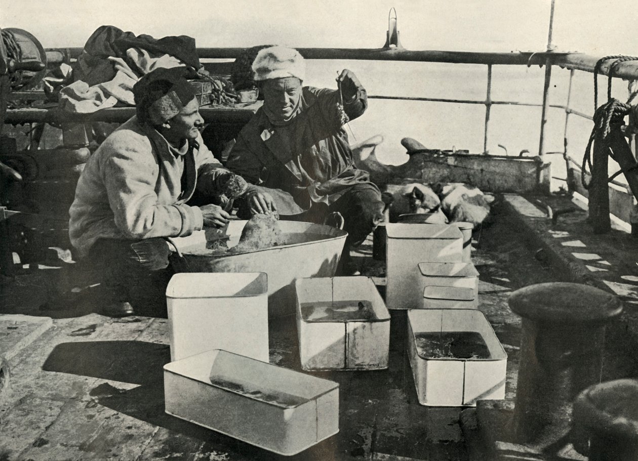 Lillie and Dr. Levick Sorting a Trawl Catch, c. 1910-1913