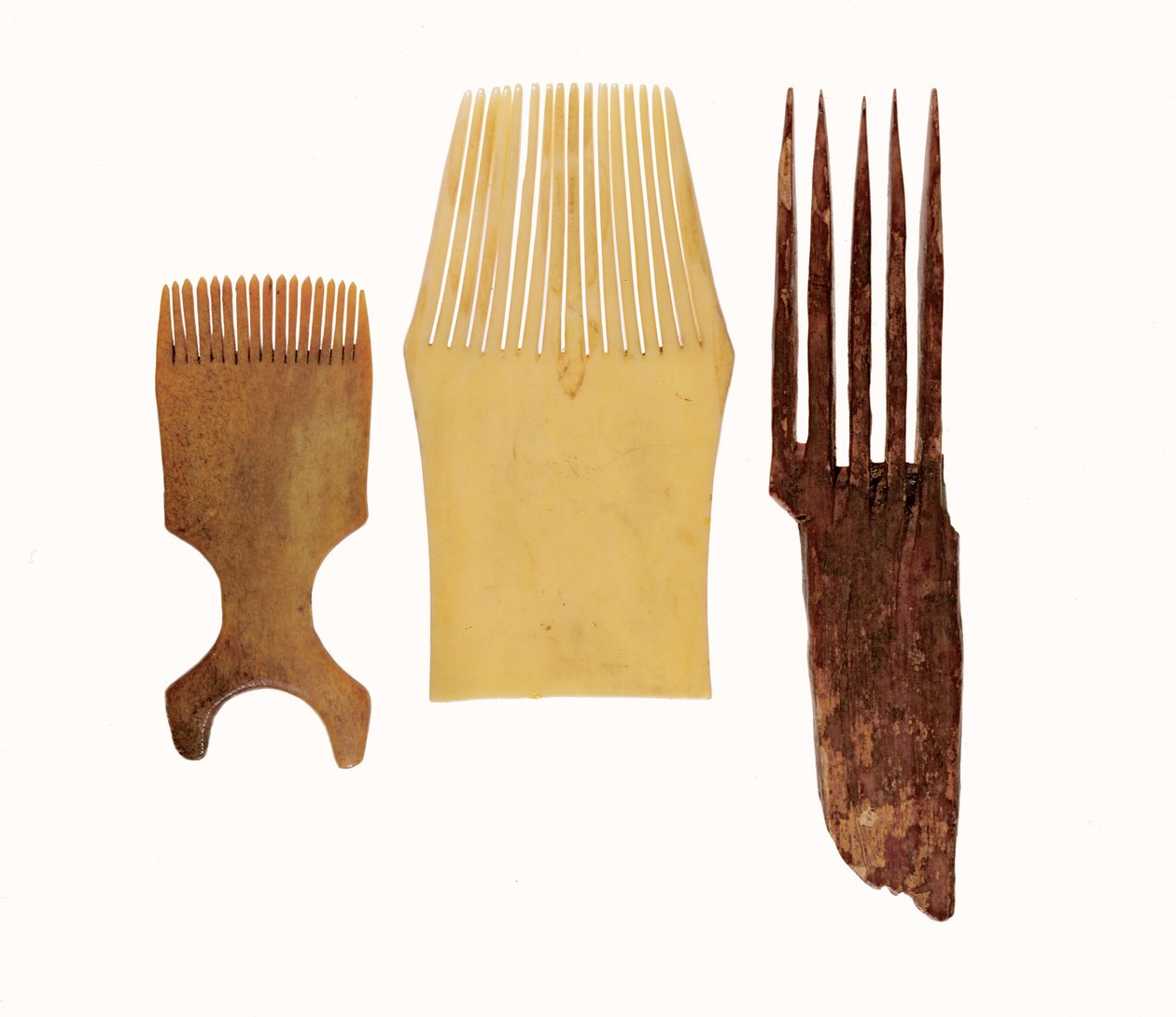 Inuit combs, from Northwest American coast by Inuit School