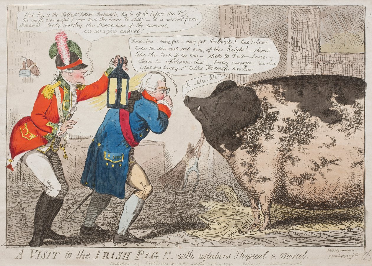 A Visit to the Irish Pig!! With Reflections Physical & Moral