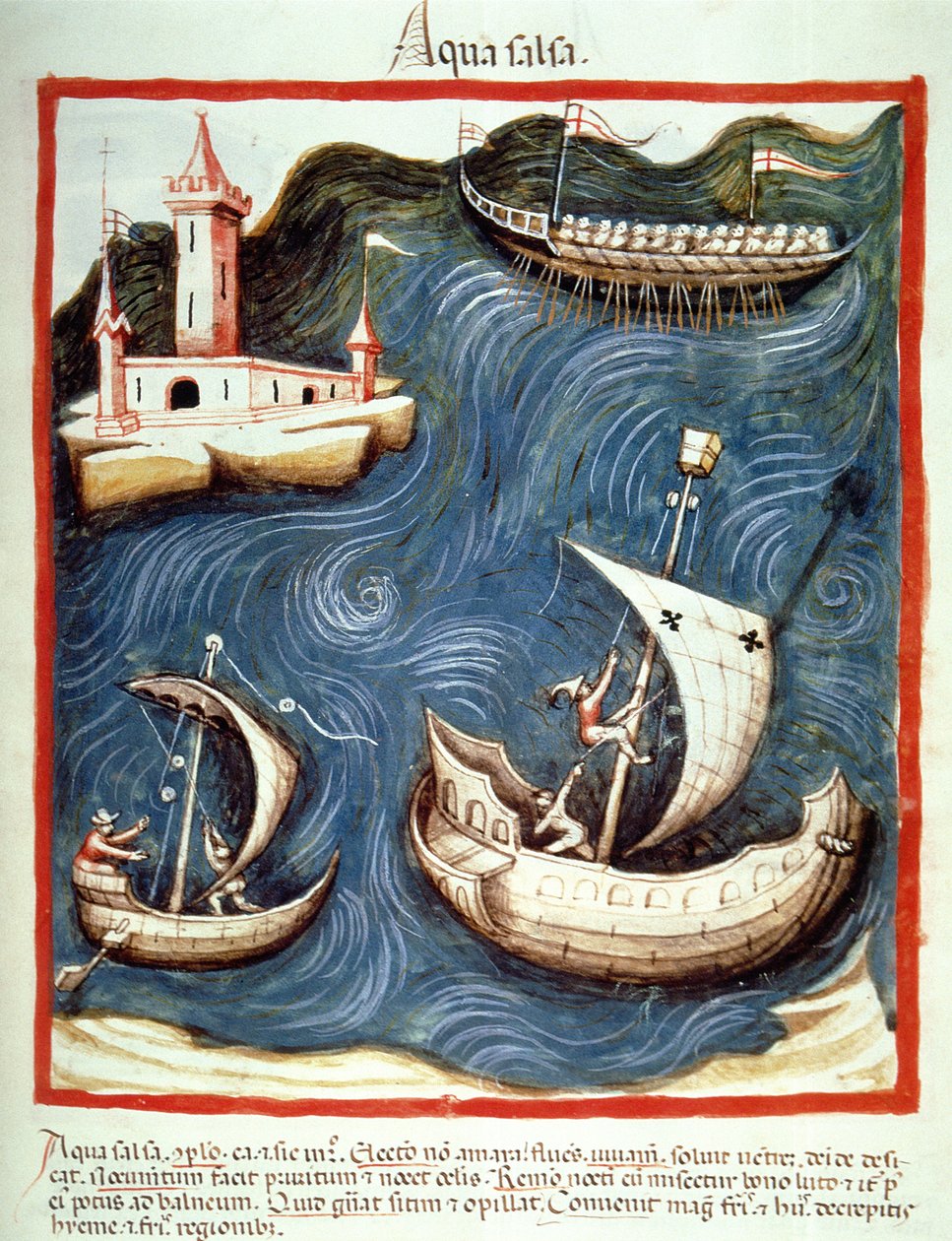 Boats on the Sea (illustration from Tacuinum Sanitatis Codex Vindobonensis)