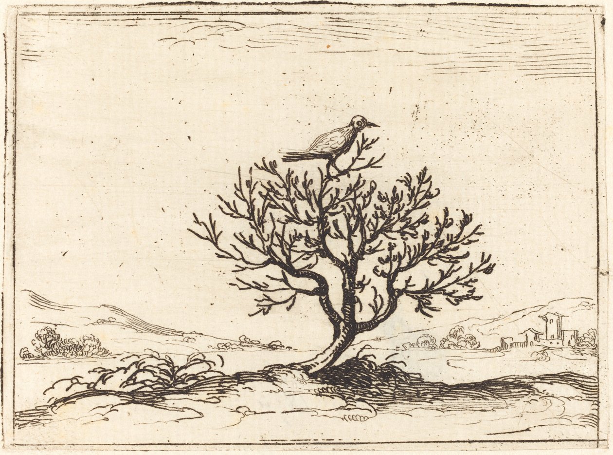 Nightingale in a Bush by Jacques Callot: Buy fine art prints
