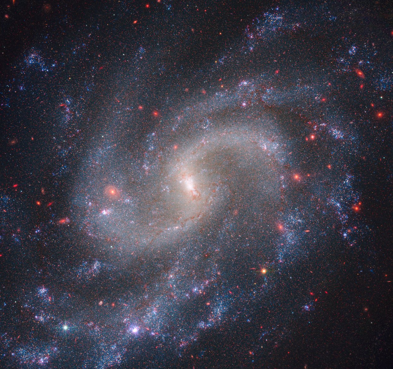 NGC 5584 (Webb NIRCam + Hubble WFC3)