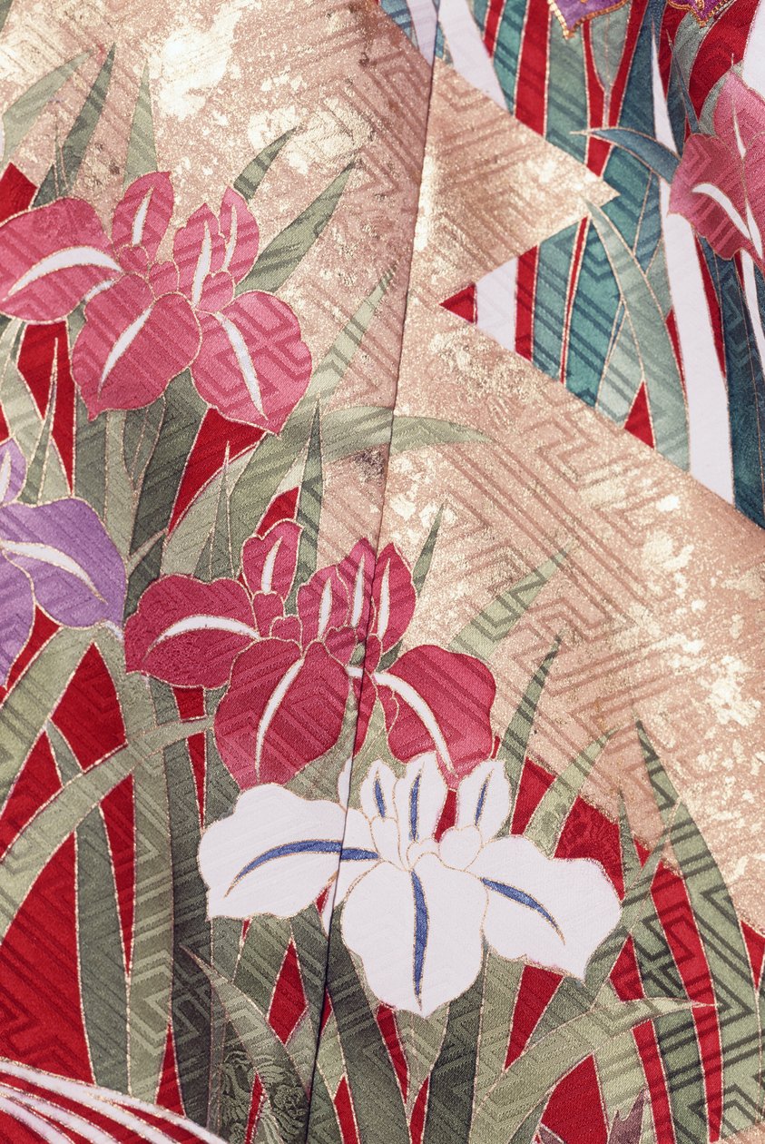 Kimono Furisode (detail) by Japanese School