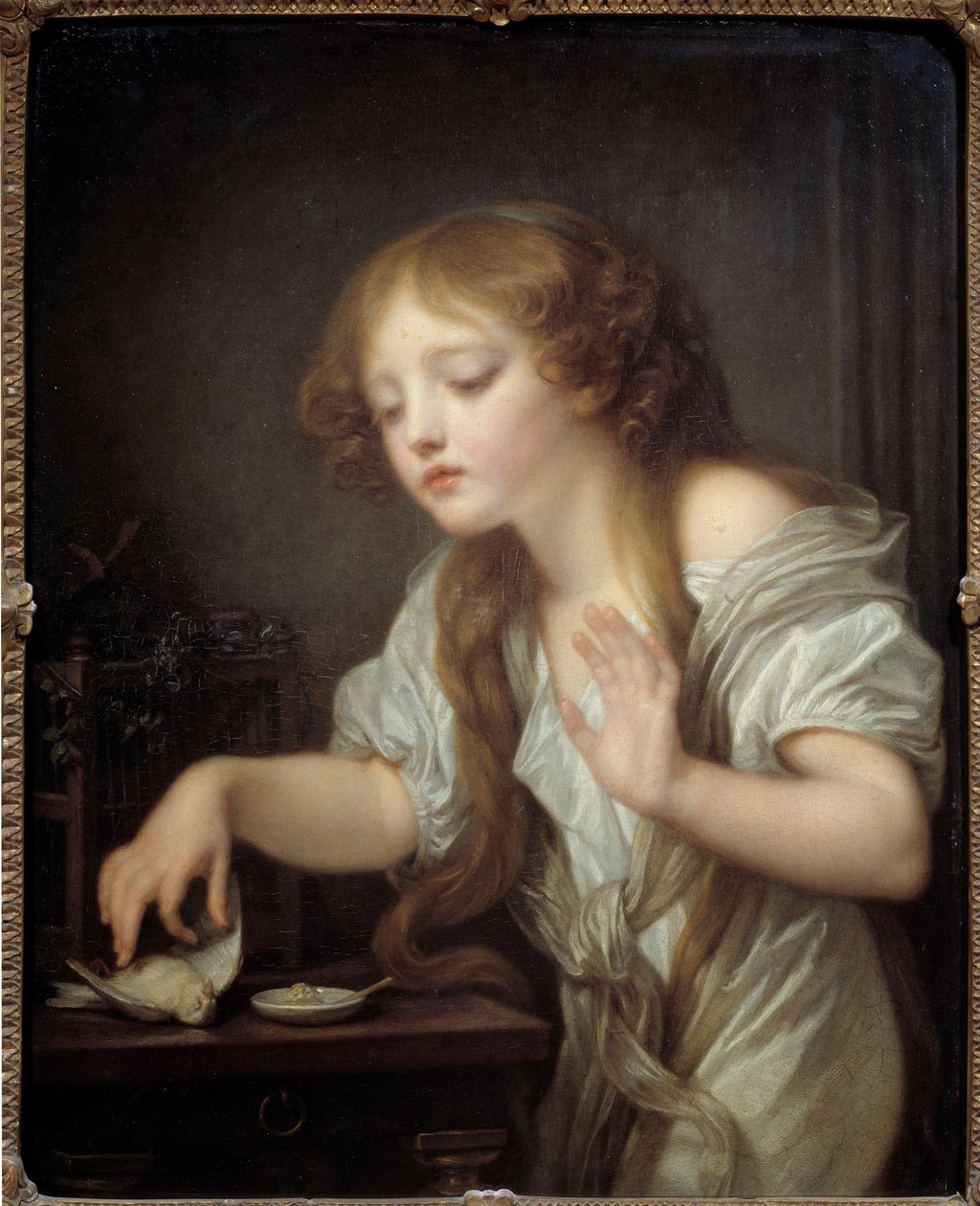 Young Girl Hesitant to Touch a Bird for Fear That It Is Dead or The ...