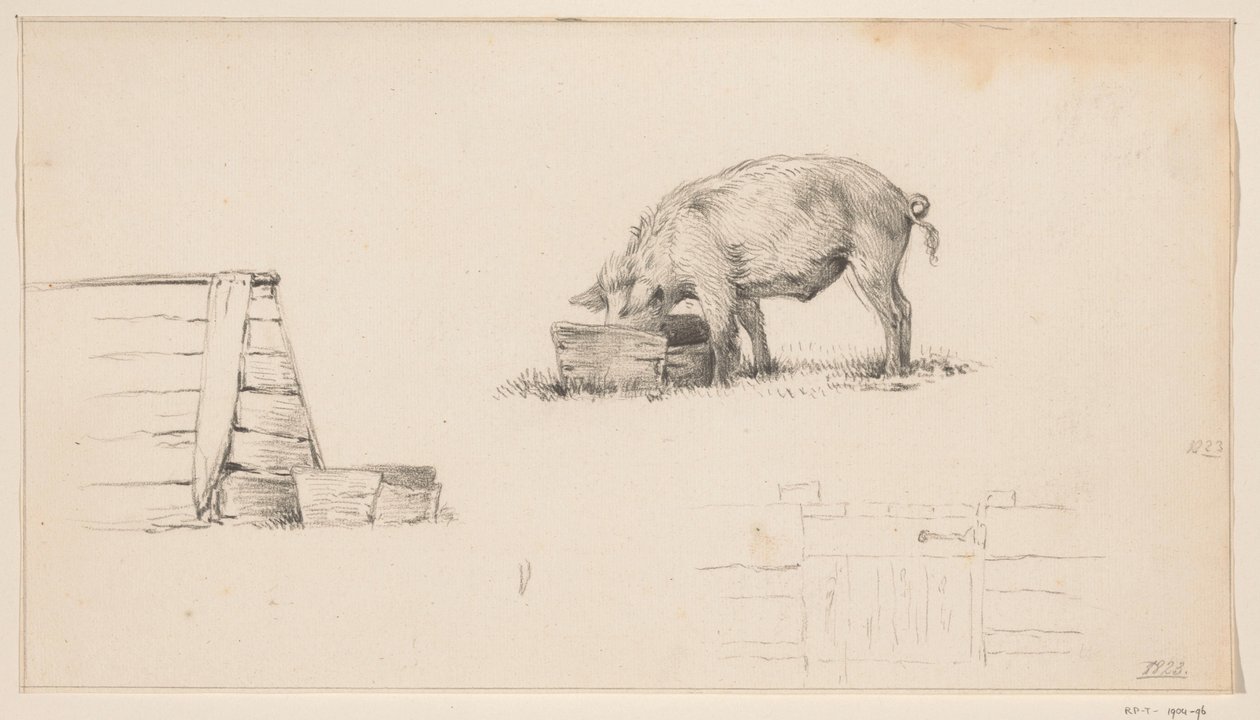 Pig, a Pen, and a Sketch of a Fence by Jean Bernard