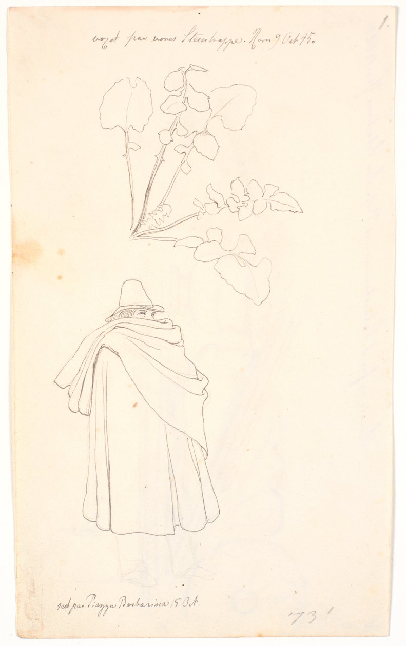Study of a Dandelion Plant and Italian Wrapped in His Cloak