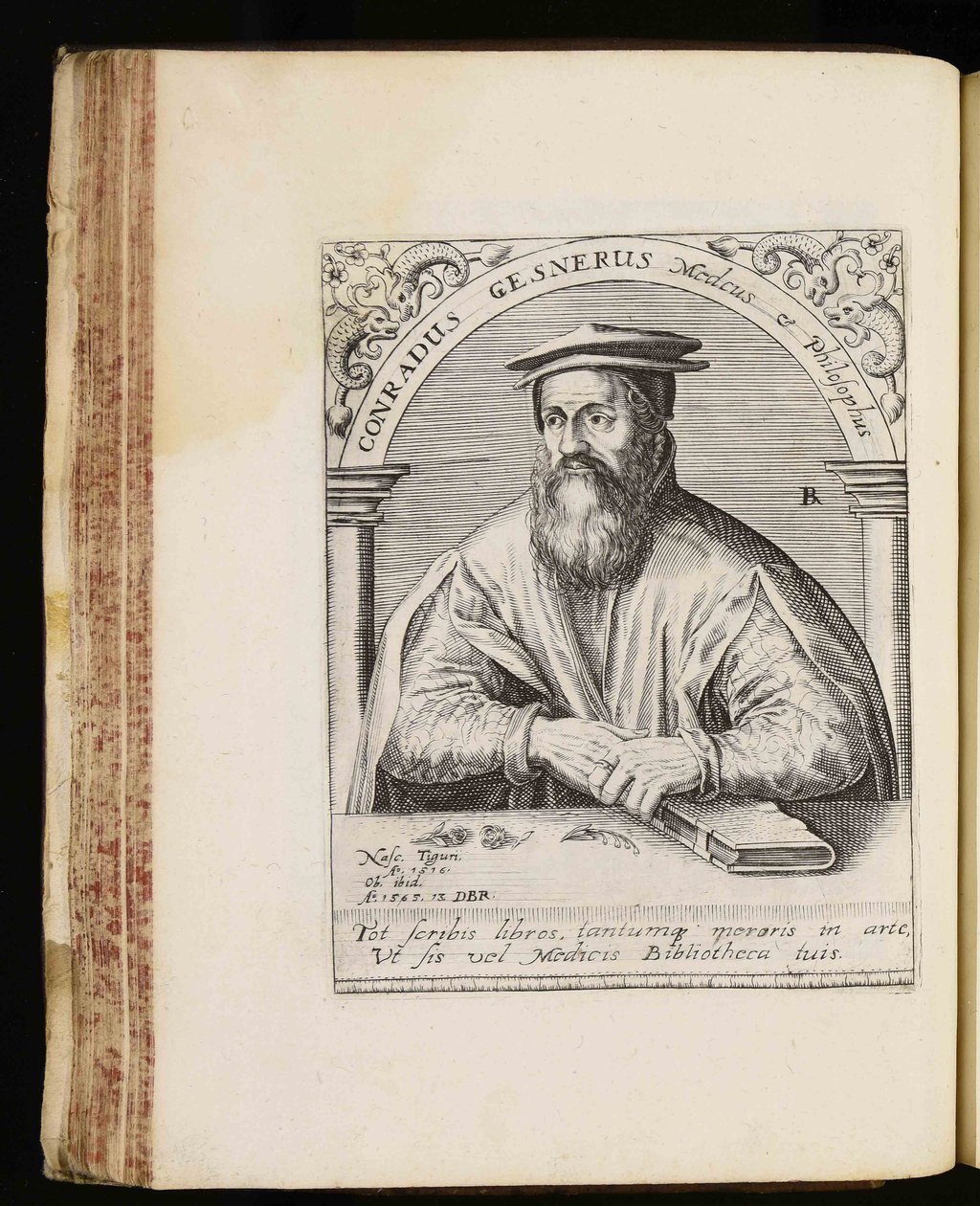 Conrad Gessner by Johann Theodor de Bry: Buy fine art prints