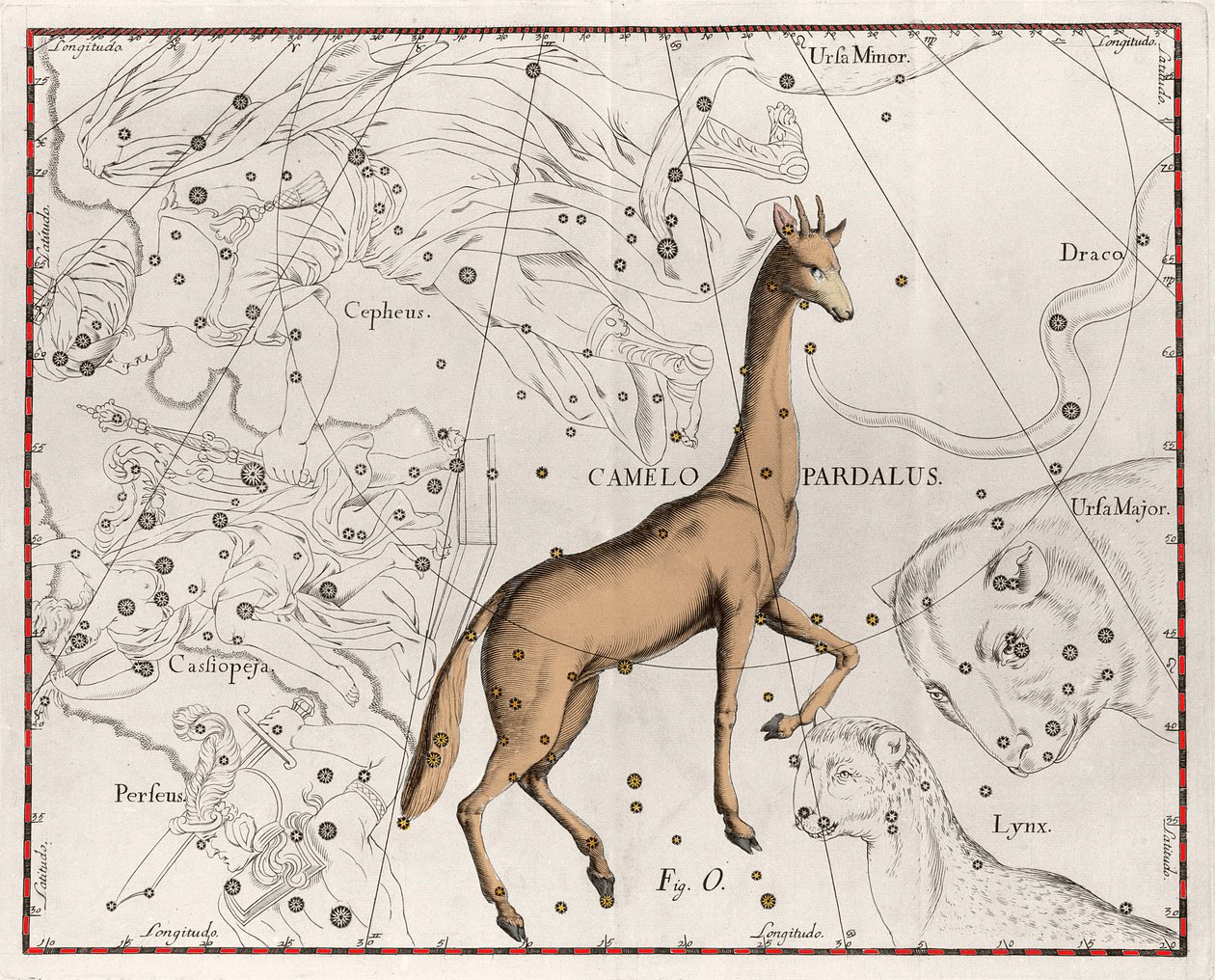 The constellation of the giraffe. Plate from 'Firmamentum Sobiescanum ...