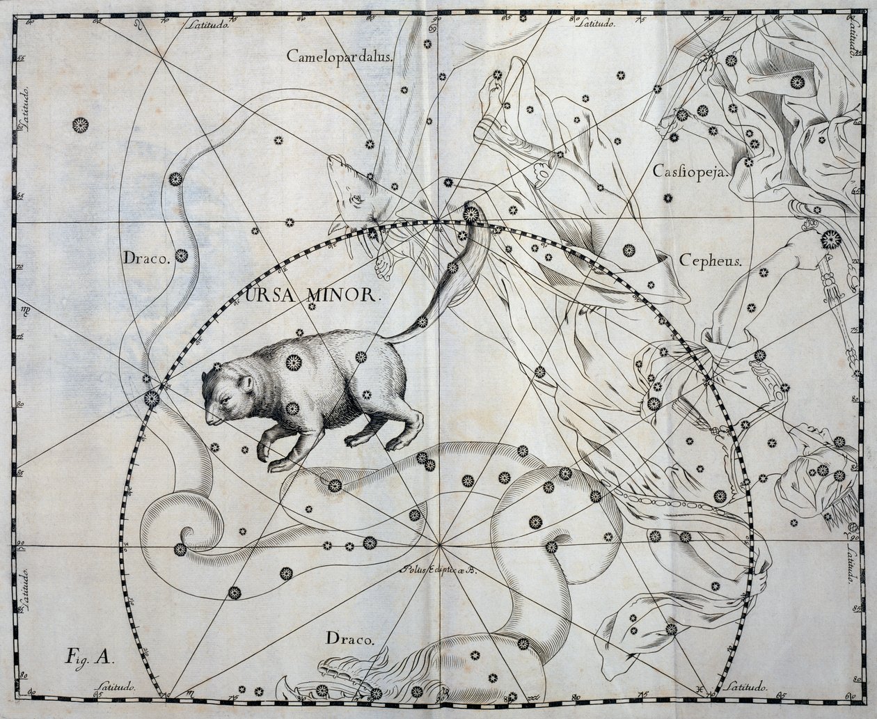 Ursa Minor, Boreal constellation of Ursa Minor