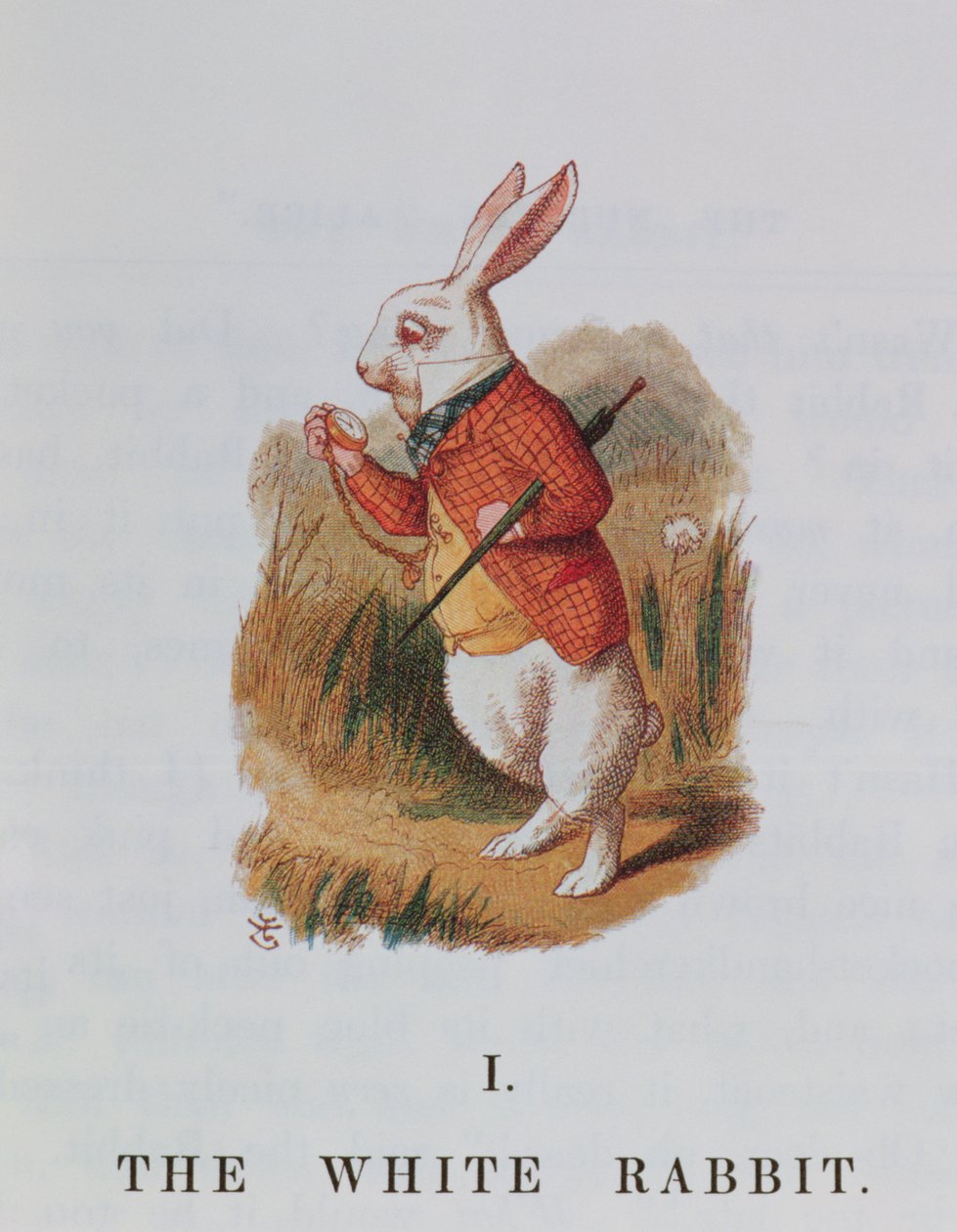 The White Rabbit, illustration from 'Alice in Wonderland' by Lewis ...