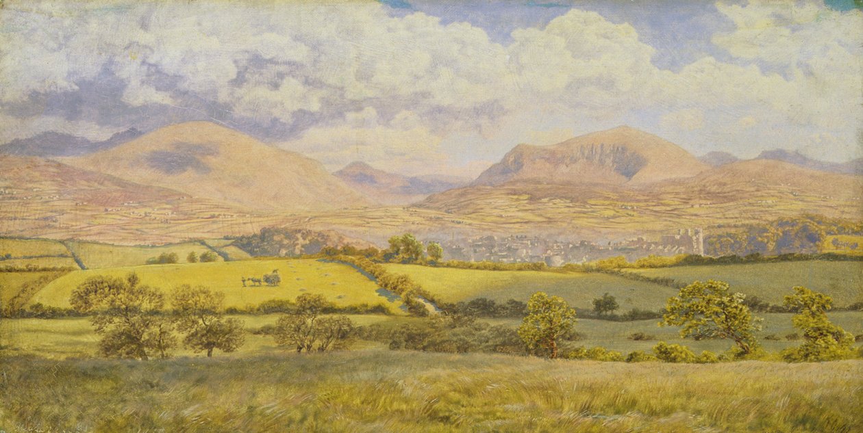 Caernarvon (oil on canvas) by John Brett: Fine art print