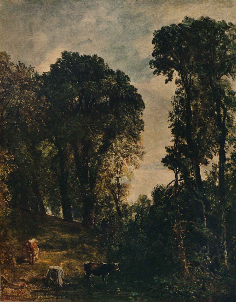 Trees Near Hampstead Church by John Constable