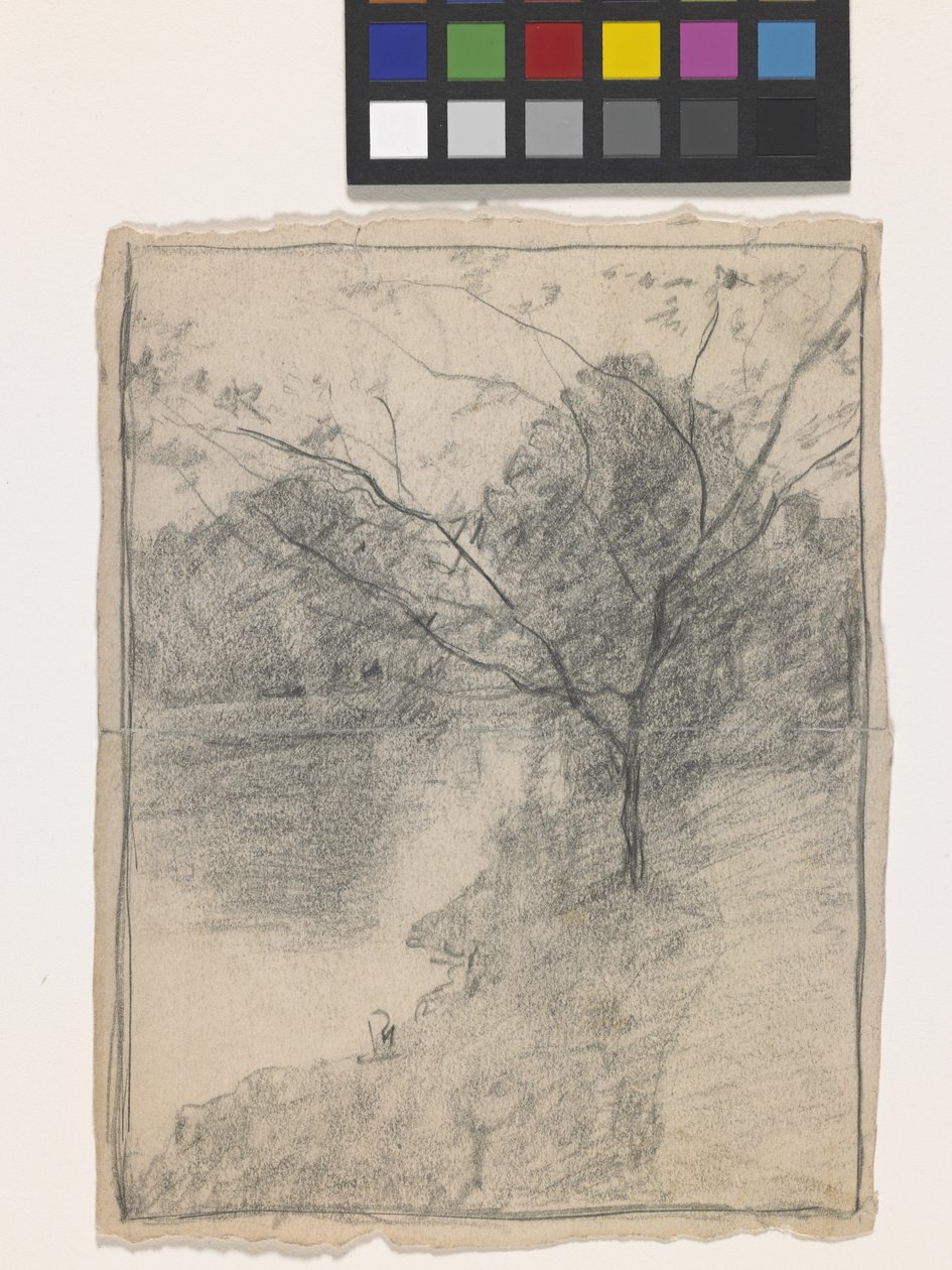 Tree Beside A Stream (pencil on off-white paper)