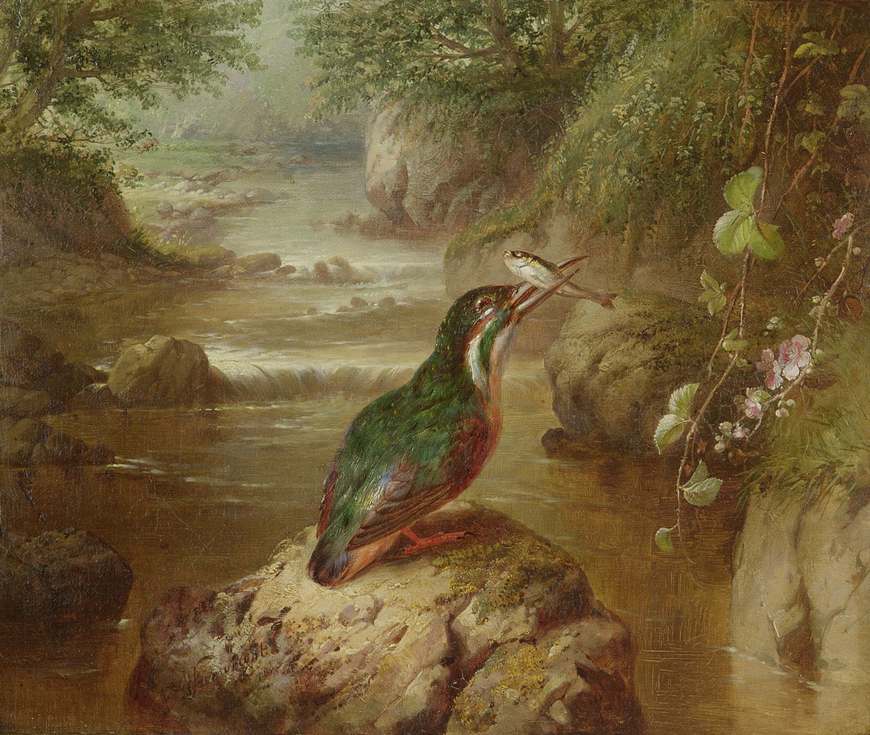 The Haunt of the Kingfisher by John Wainwright