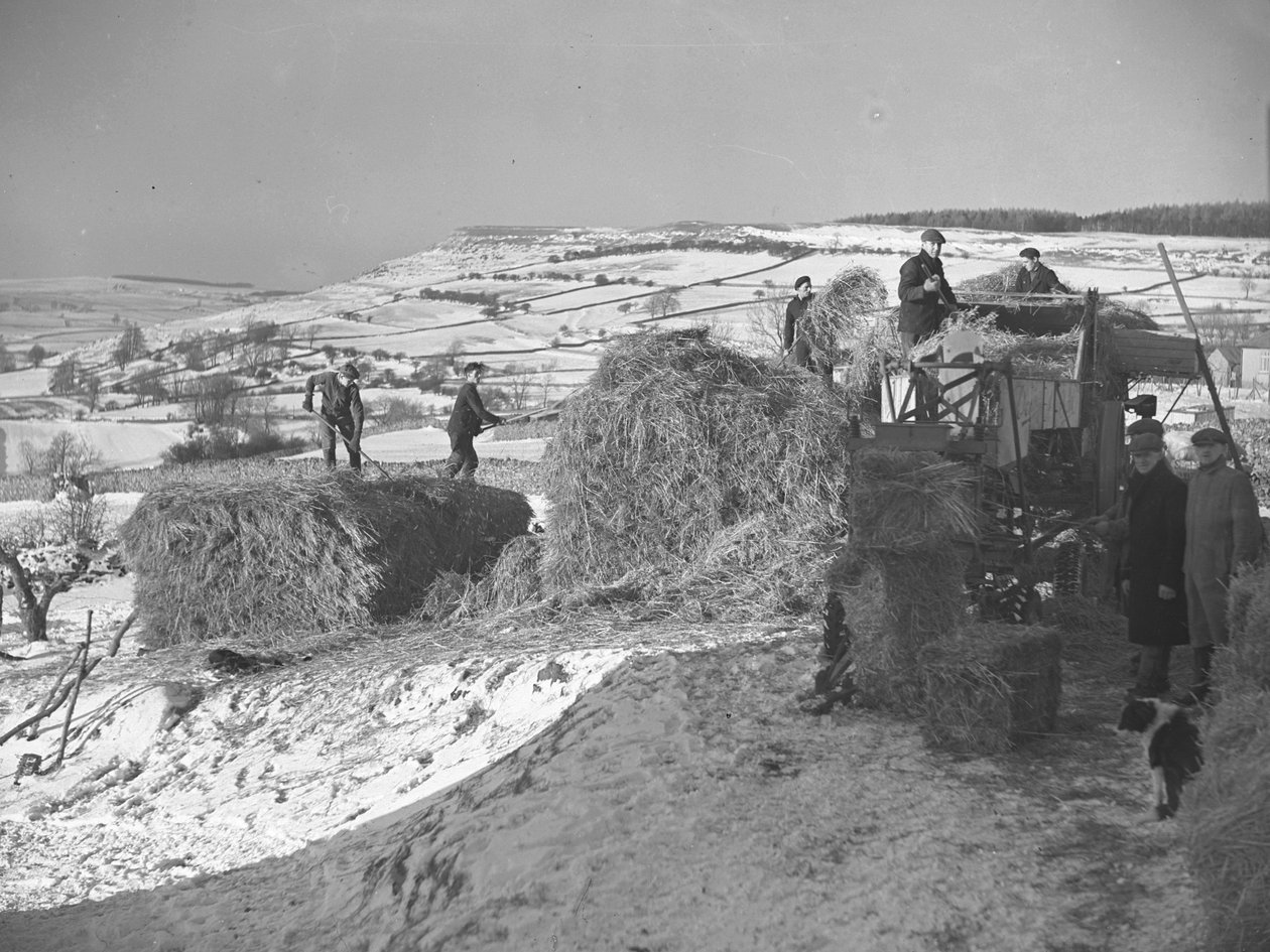 Workers threshing stacks near Bampton by Joseph Hardman