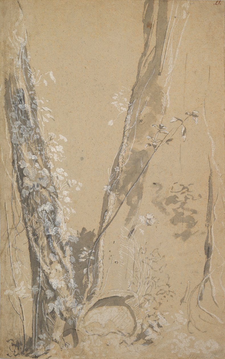 Study of Overgrown Trees, Verso: Study of a Cypress and Two Overgrown Trees