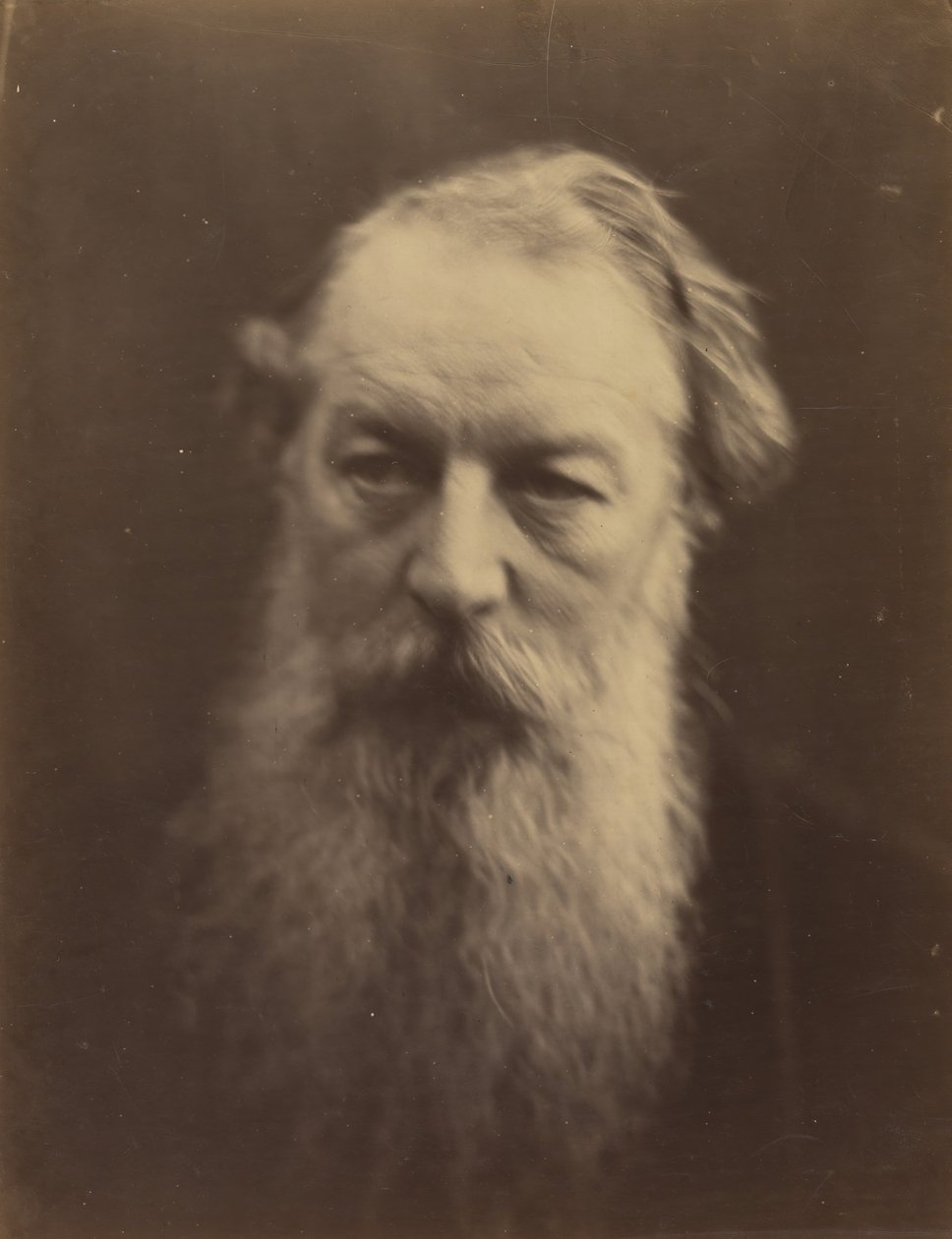 James Rogers by Julia Margaret Cameron: Buy fine art print