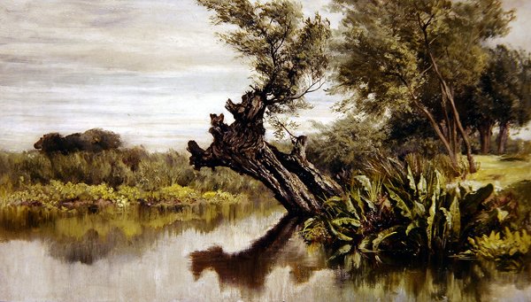 The Willow Tree by Keeley Halswelle: Buy fine art print