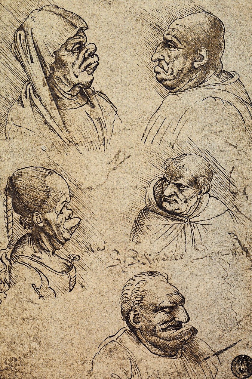 Five Grotesque Heads by Leonardo da Vinci: Fine art print