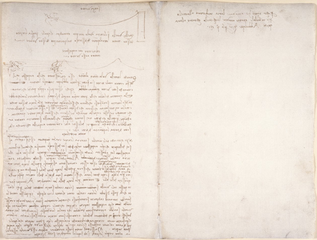 Notes and Diagrams on the Flight of Birds, from 'Codex Arundel'