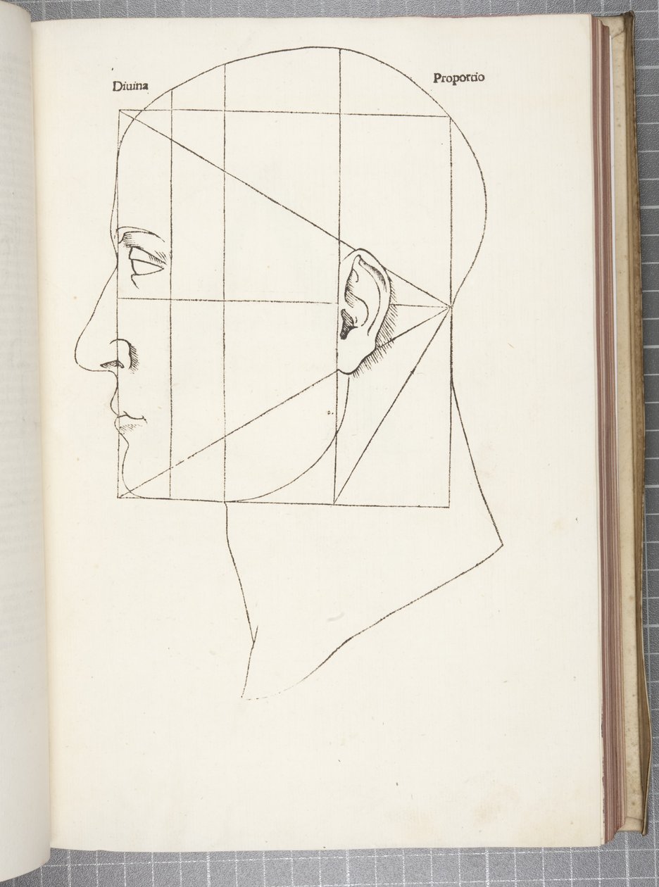 Divina Proportione by Leonardo da Vinci: Fine art print