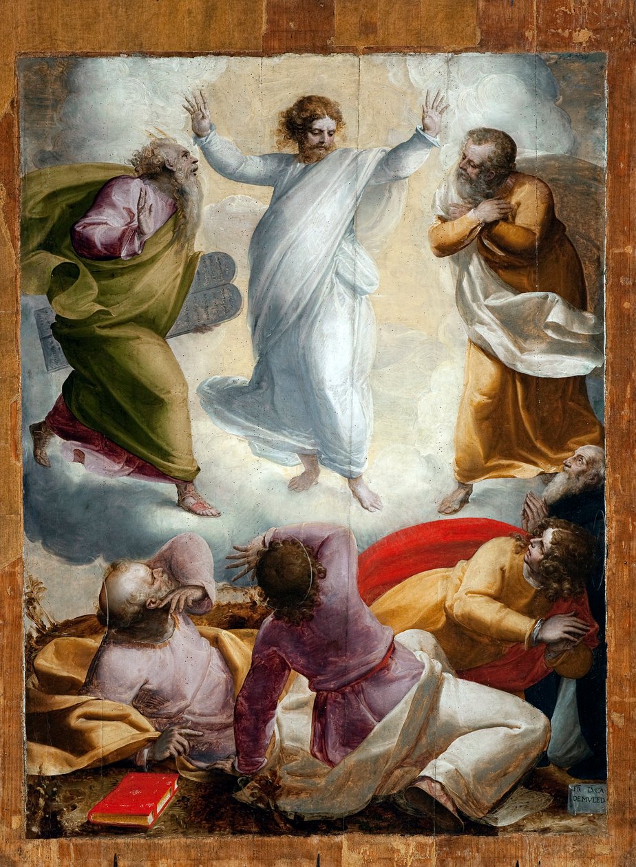 The Transfiguration by Luca Cambiaso: Buy fine art print