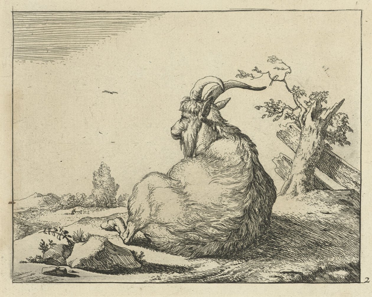 Goat Sitting by a Fallen Tree by Marcus de Bye