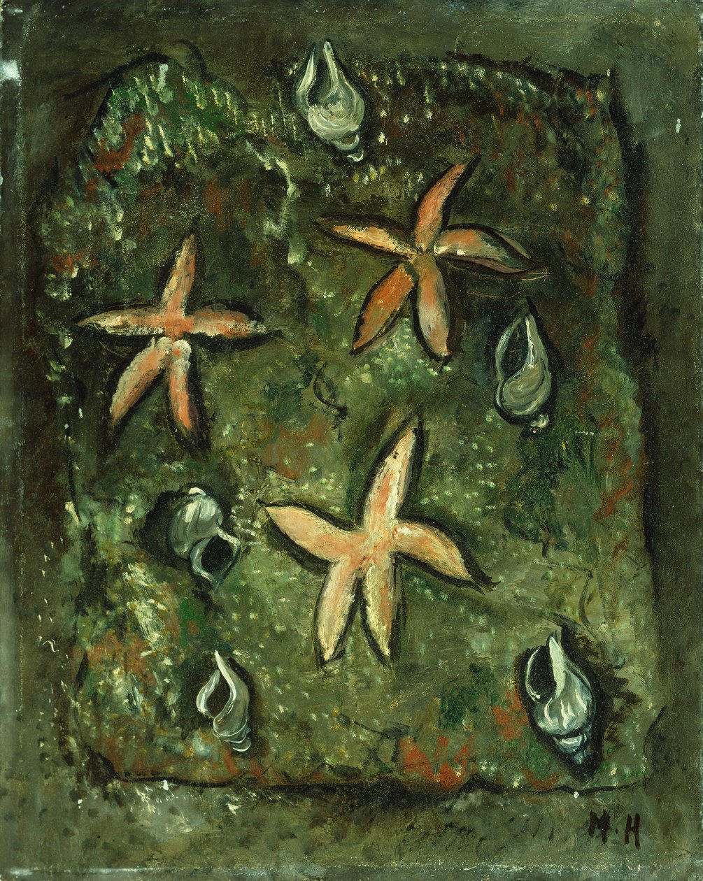 Star Fish and Shells by Marsden Hartley: Fine art print