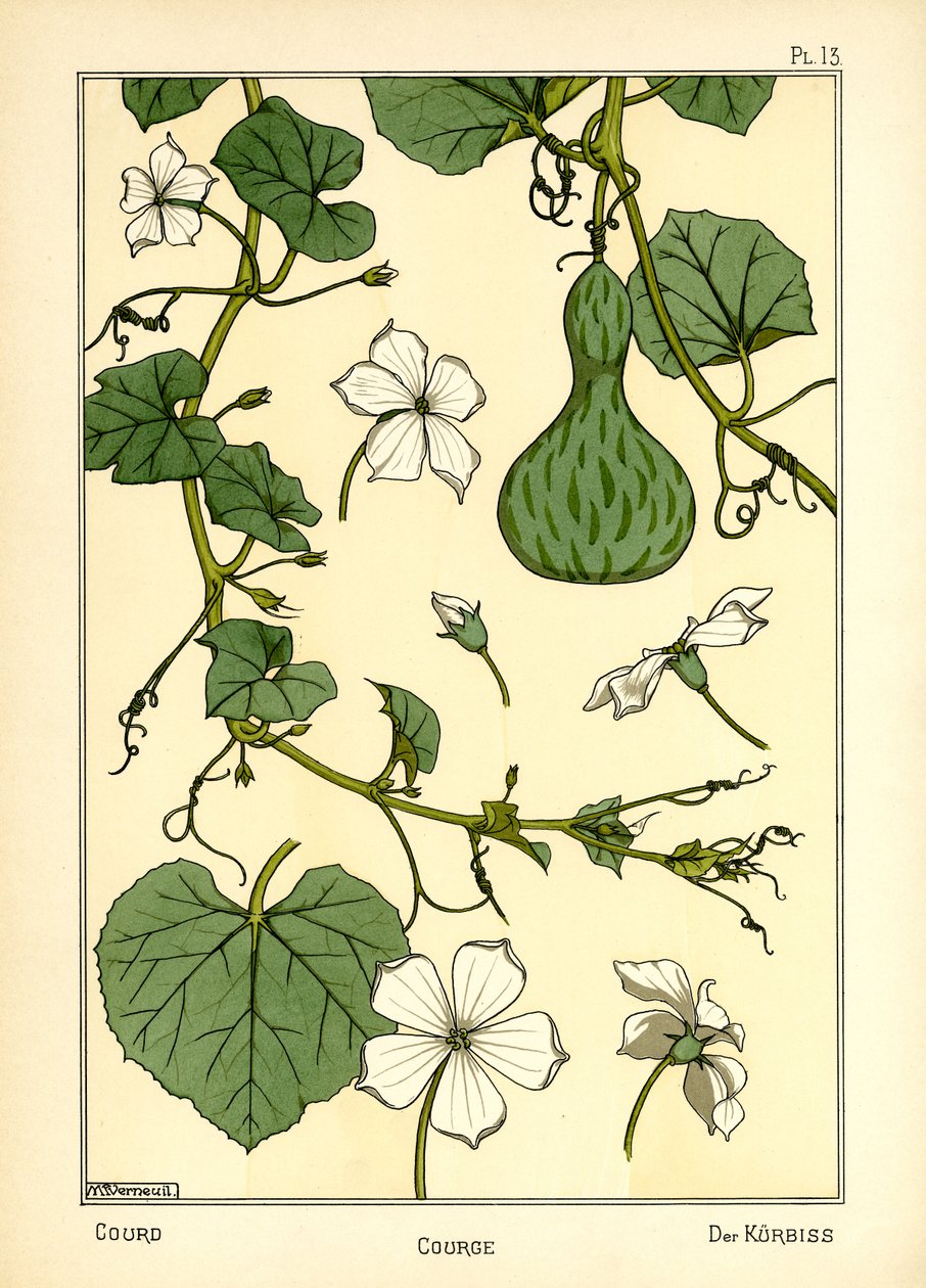 The Pumpkin by Maurice Pillard Verneuil: Fine art print