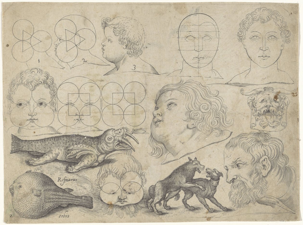 Study Sheet with Drawing Examples: Figures, Animals