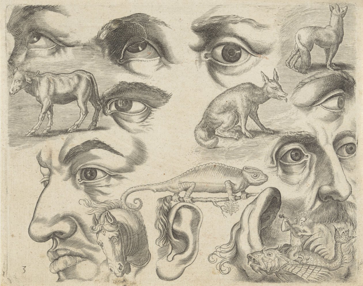 Study Sheet with Drawing Examples: Eyes, Heads, and Animals (Series ...