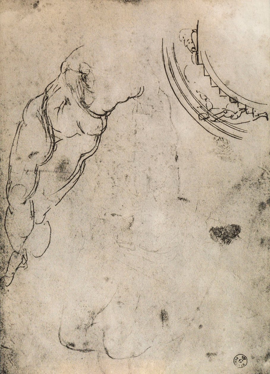 Male Legs by Michelangelo Buonarroti: Buy fine art print