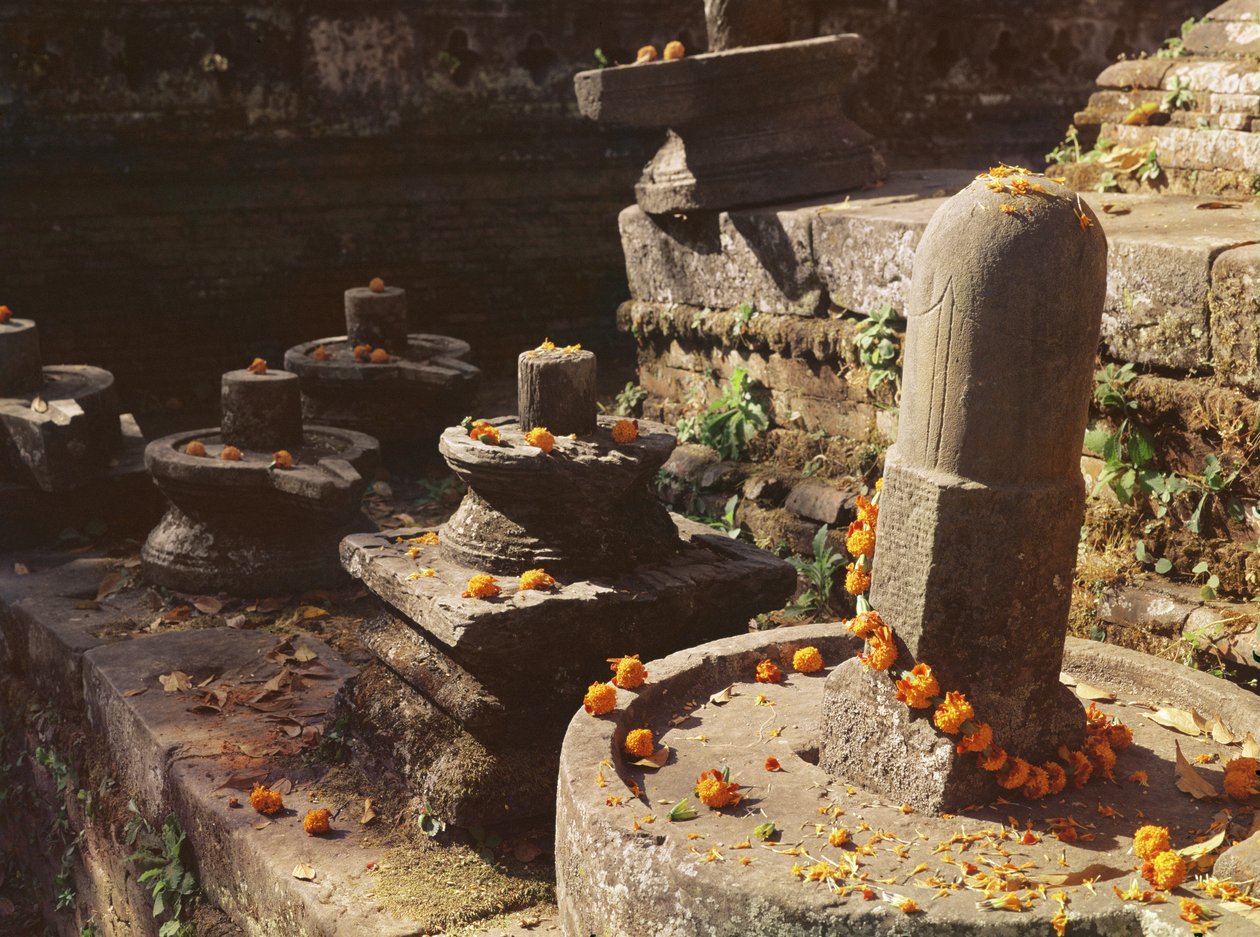 Shiva Lingams at the Pashupatinah Temple by Nepalese School