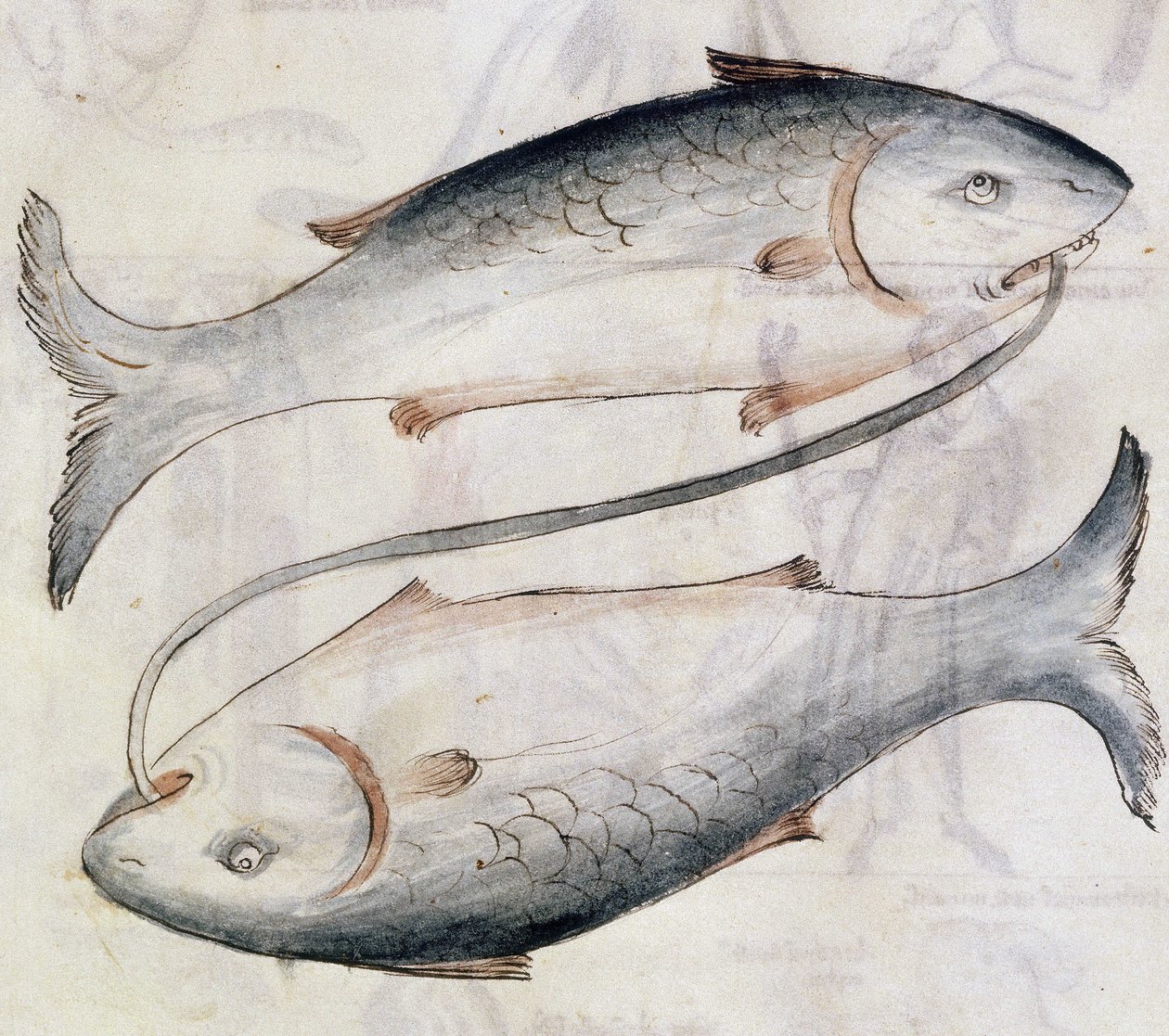 How To Draw Pisces Fish