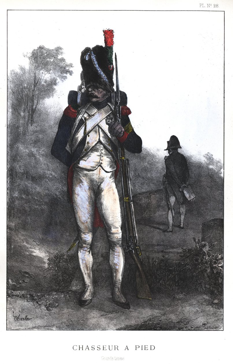 Napoleonic Wars, French Army, Foot Chasseur of the Imperial Guard in ...