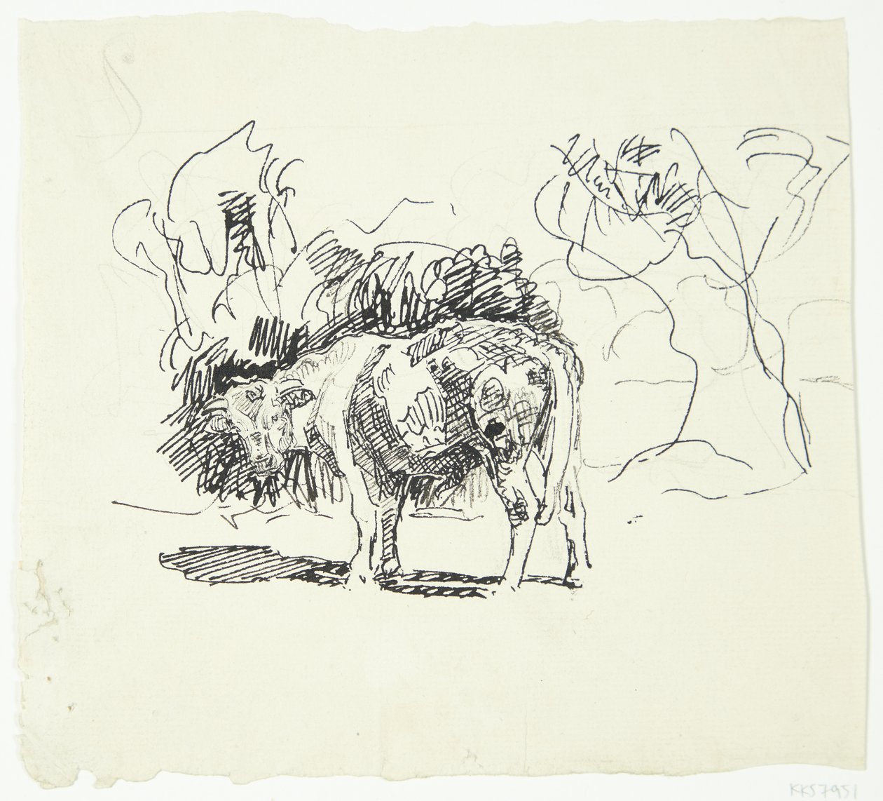 Standing Bull by Peter Hansen: Buy fine art print