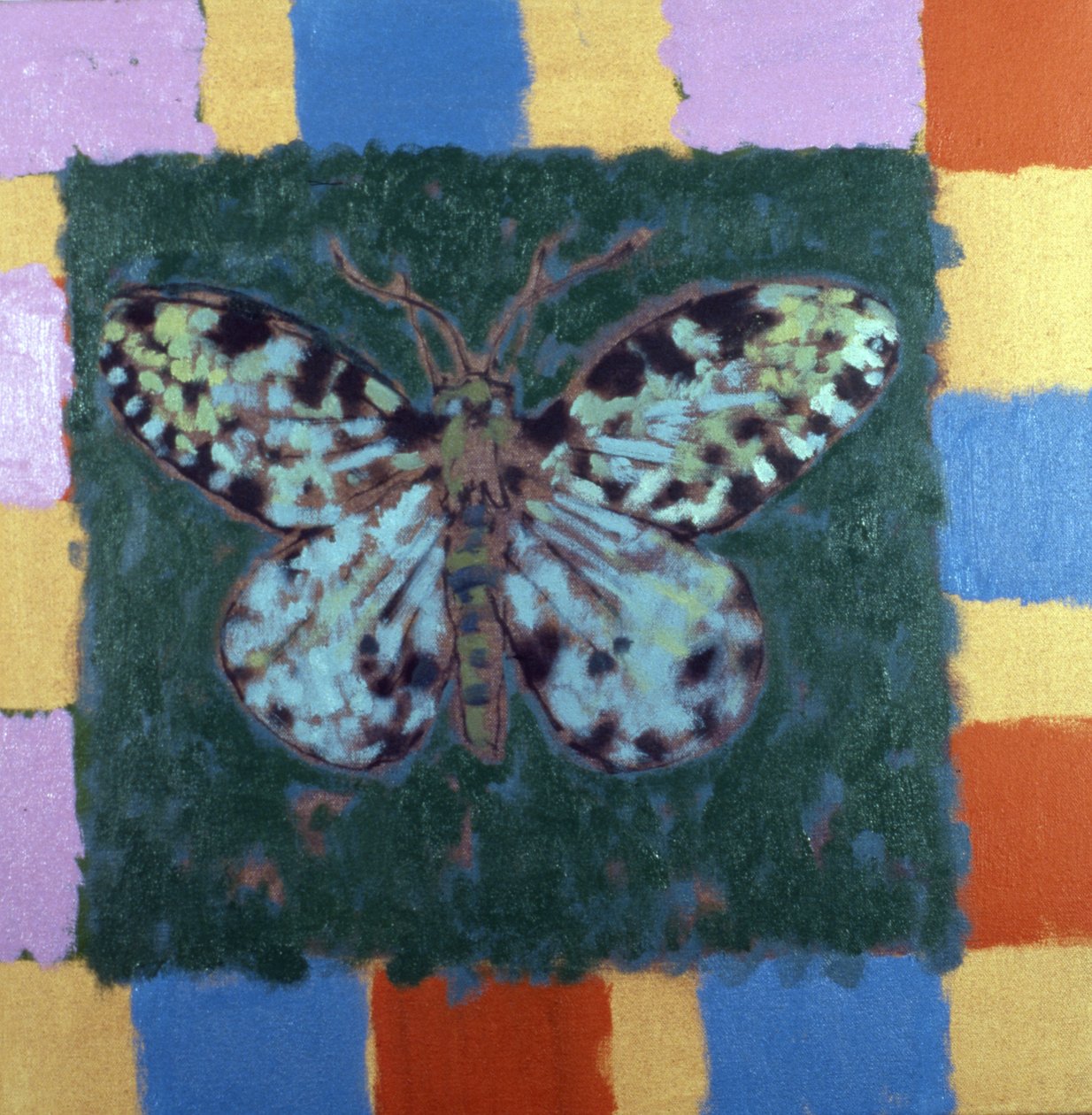 Leopard Moth by Peter Wilson: Buy fine art print